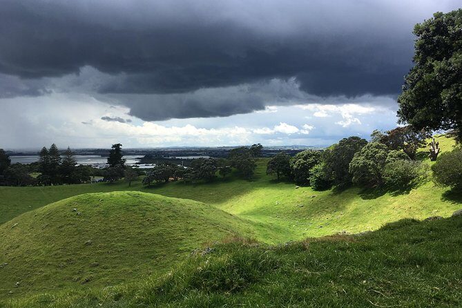 Shore Excursion: Half-Day Auckland Volcanoes Tour - Who Will Love This Tour?