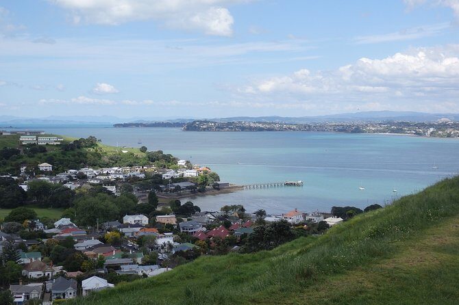 Shore Excursion: Half Day Small Group Auckland Scenic Tour - 4 HOURS - Why Travelers Love This Tour