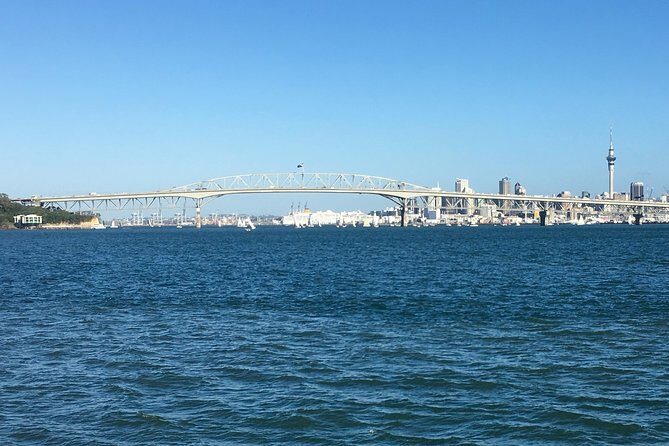 Shore Excursion: Half Day Small Group Auckland Scenic Tour - 4 HOURS - Pricing and Value