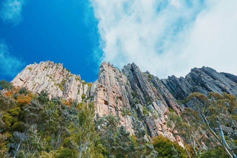 Shore Excursion: Hobart Wanderer - Transportation & Group Dynamics