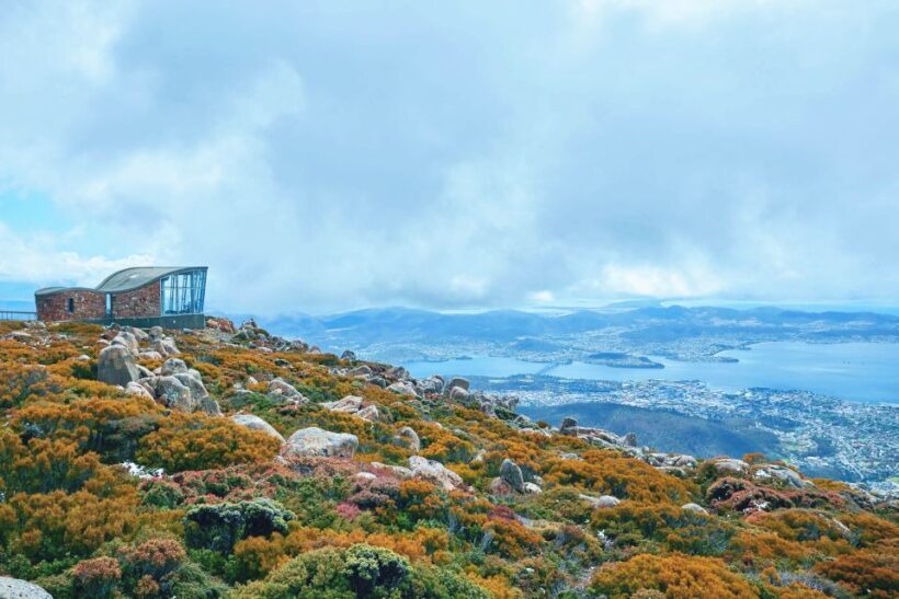Shore Excursion: Hobart Wanderer - The Value of the Hobart Wanderer