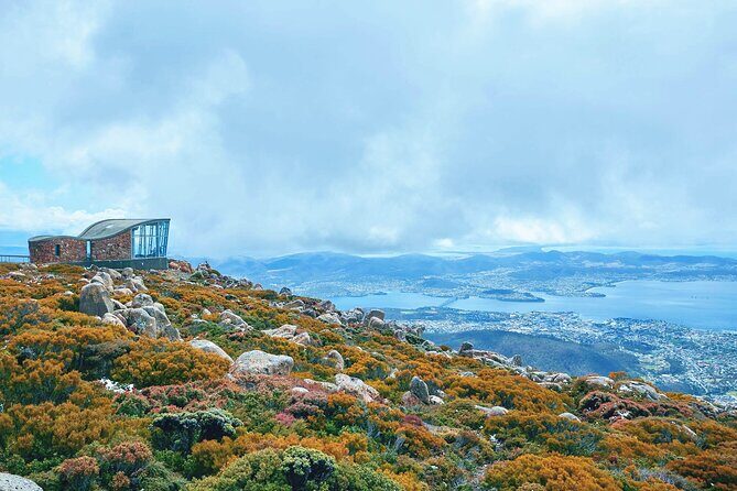 Shore Excursion-Hobart Wanderer - A Deep Dive into the Hobart Wanderer Experience