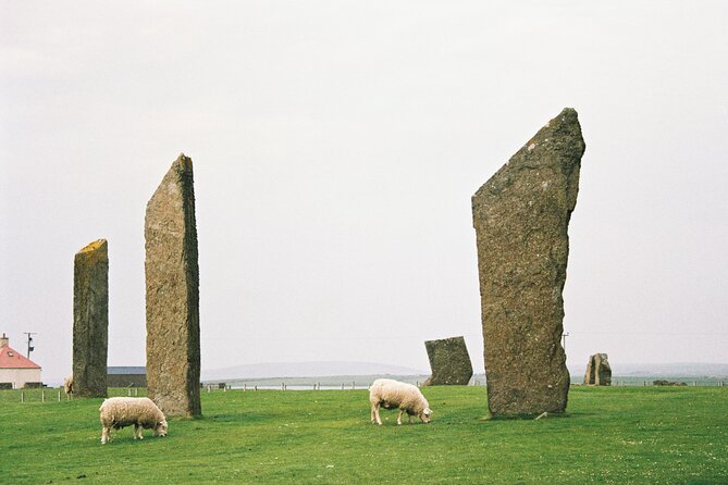 Shore Excursion Kirkwall Small Group Highlights of Orkney - Practical Details and Value