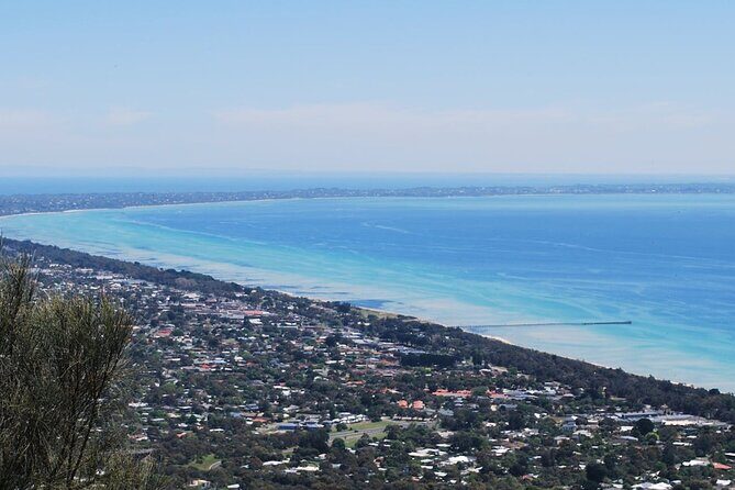 Shore Excursion Melbourne, Sights, Kangaroos, Koalas Lunch & Wine - What Travelers Are Saying