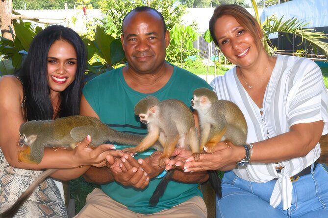 Shore Excursion Monkey Encounter and Puerto Plata City Tour - Key Points