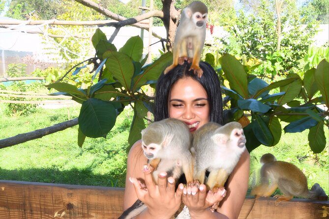 Shore Excursion Monkey Encounter and Puerto Plata City Tour - What to Expect from the Itinerary