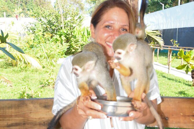 Shore Excursion Monkey Encounter and Puerto Plata City Tour - What the Reviews Say