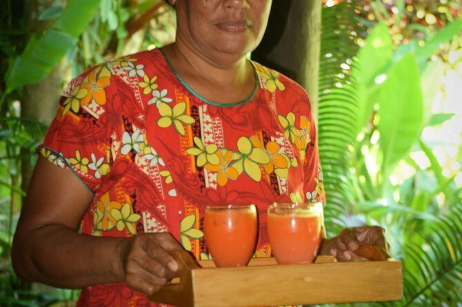 Shore Excursion-Nadi Mudpools,Sleeping Giants Gardens,Markets, Temple & Shopping - Practical Details and What They Mean for You