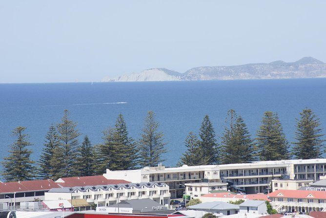 Shore Excursion: Napier and Surrounding Countryside Scenic Tour - Practical Tips for Travelers