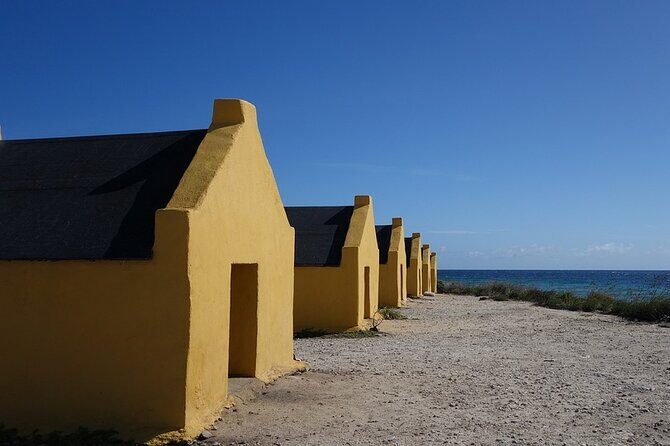 Shore Excursion: North and South Sides of Bonaire - Who Will Enjoy This Tour?