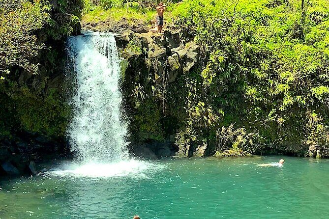 Shore Excursion of Maui - Discovering Maui’s North Shore and Rainforest
