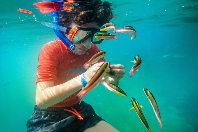 Shore Excursion Premium Family Snorkeling Experience - Practical Considerations: Timing, Booking, and Group Size