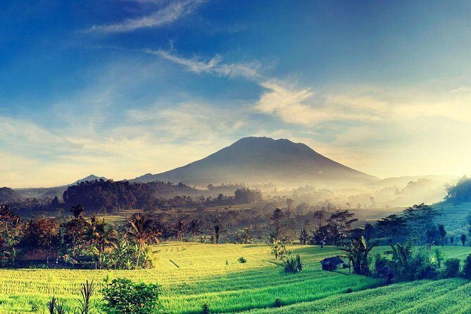 Shore Excursion : Private Tours To Ubud Art village And Surrounding Area - Key Points