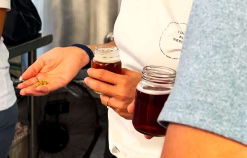 Shore Excursion: Savor Cozumel with Tacos, Beer & Mezcal - Visiting the Punta Sur Brewery
