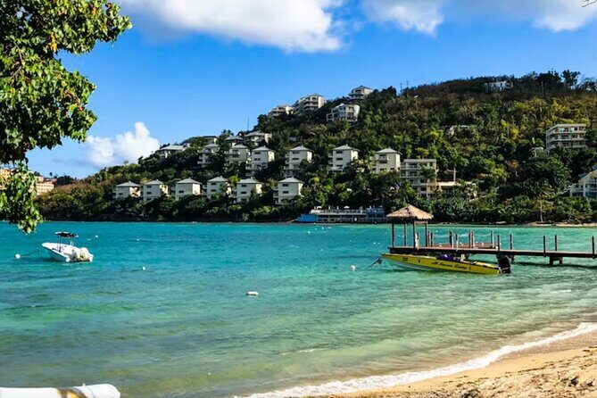 Shore Excursion: Small Group St Thomas Highlights Tour - Final Thoughts: The Value of a Short but Sweet Tour