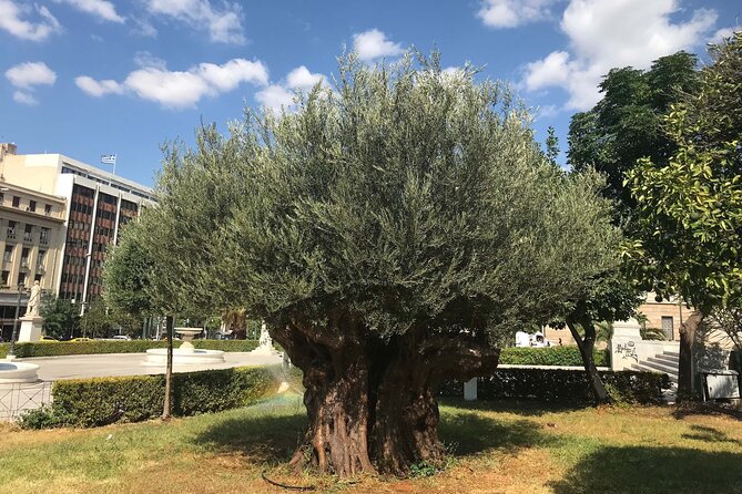 Shore Excursion to Athens Monuments With Street Food by Electric Bike - Experiencing Authentic Greek Street Food