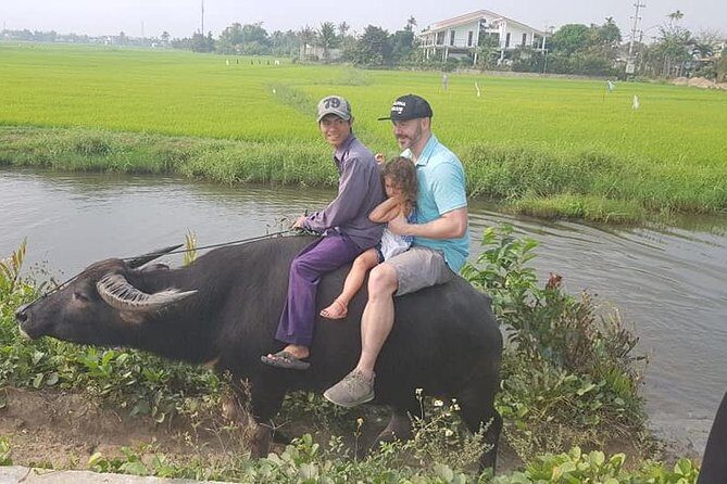 Shore Excursion to HOI AN COUNTRYSIDE & HOI AN city fromTIEN SA or CHAN MAY port - Who Should Take This Tour?