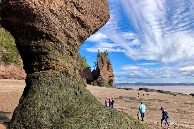 Shore Excursion to Hopewell Rocks and Fundy National Park - An In-Depth Look at the Tour Experience