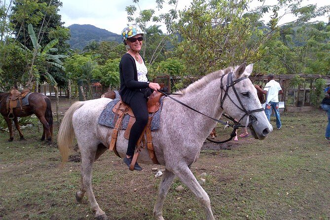 Shore Excursion: V.I.P. DayPass: ATV, Zip Lines, Horseback Riding & Lunch - Analyzing the Value