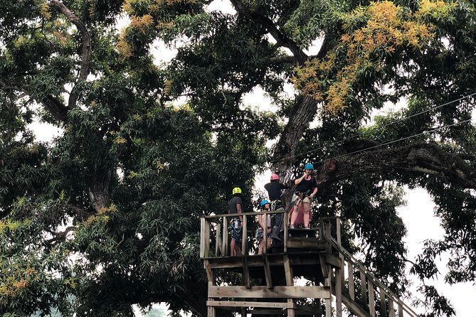 Shore Excursion: Zip Line Adventure - FAQ