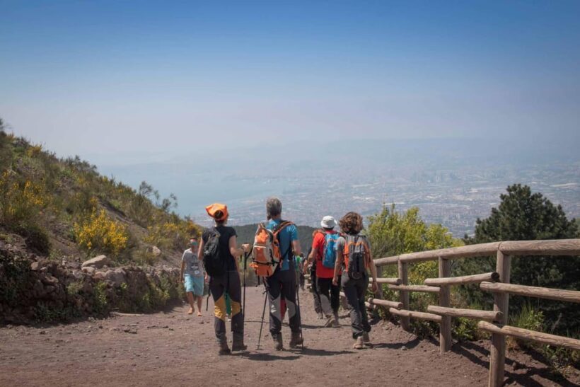 Shore Excursions: Pompeii & Vesuvius shared guided tour - Key Points