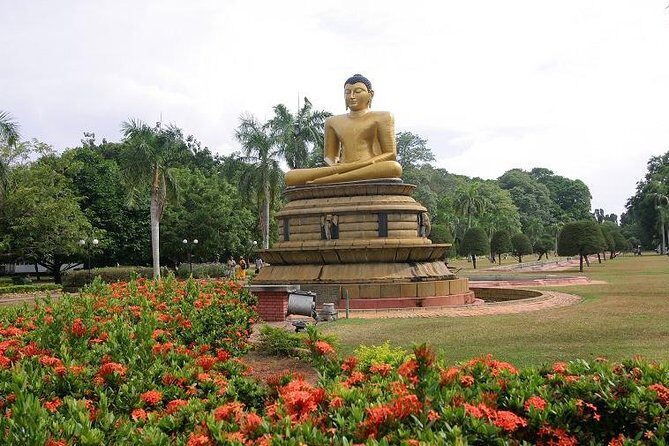 Shore Excursions Port Passenger Terminal to Colombo Wetland Tour. - FAQs