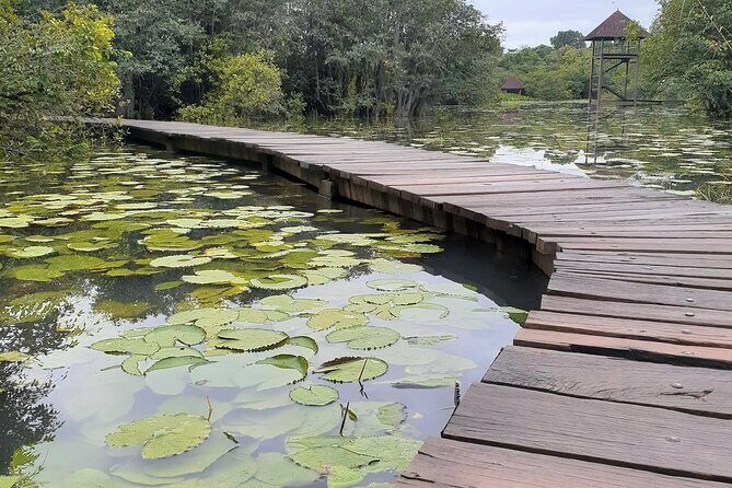 Shore Excursions Port Passenger Terminal to Colombo Wetland Tour. - Final Thoughts