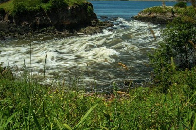 Shore Excursion:Saint John History Walking Tour - The Sum Up