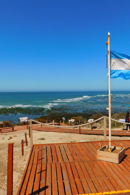 Shore Tours Peninsula Valdes Puerto Madryn Cruise Passengers - Key Points