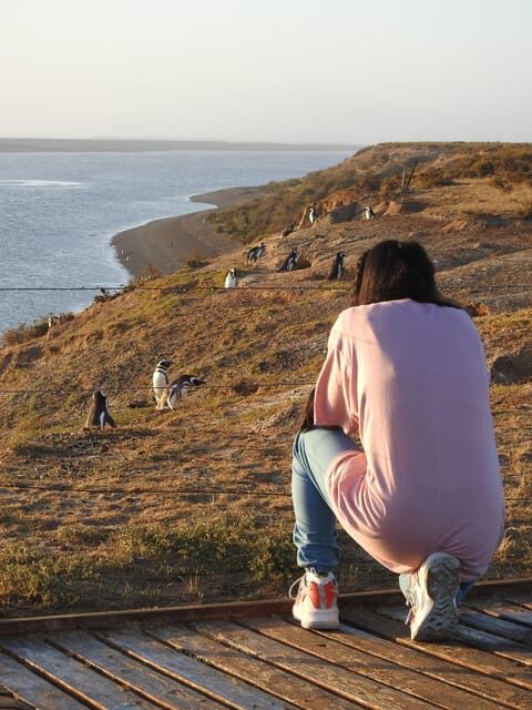 Shore Tours Peninsula Valdes Puerto Madryn Cruise Passengers - FAQ