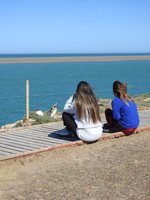 Shore Tours Peninsula Valdes Puerto Madryn Cruise Passengers - Final Words