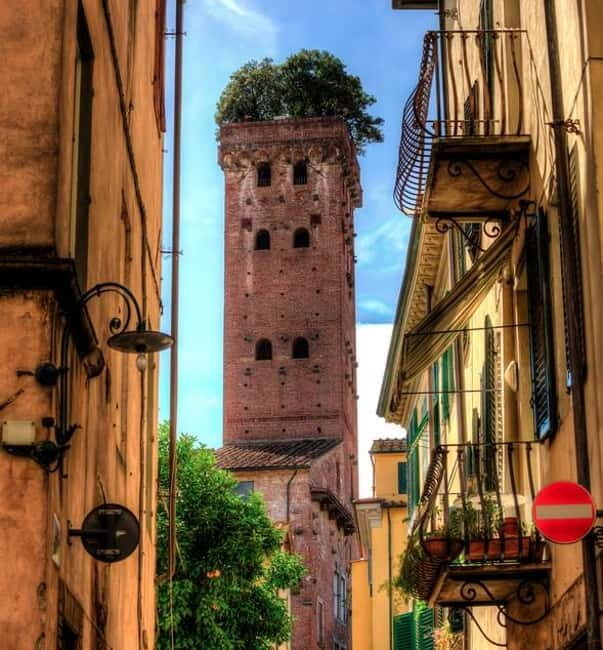 Shore Trip from La Spezia: Pisa,Lucca,lunch & tasting Winery - Key Points