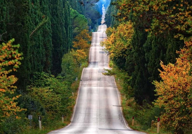 Shore Trip from La Spezia: Pisa,Lucca,lunch & tasting Winery - Who Will Enjoy This Tour?