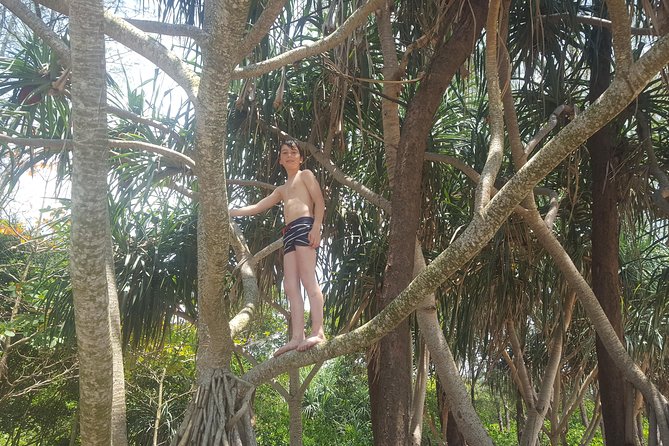 Shoreline Cruise and Secluded Beach - Why This Tour Works