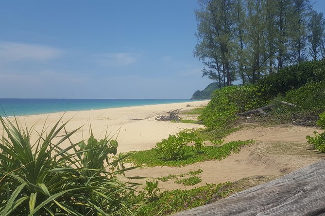 Shoreline Cruise and Secluded Beach - Final Thoughts: Who Should Consider This Tour