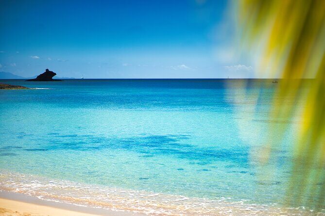 Shoreline Crystal Clear Kayak Drone Photoshoot - Final Thoughts: Who Should Consider This Experience?