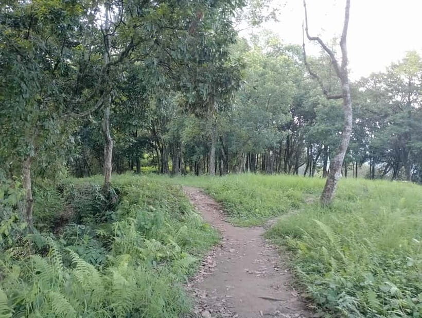 Short and Sweet: 3-Hour Hike with Views from Pokhara - Authentic Experiences and Honest Impressions