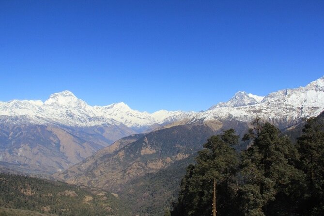 Short Annapurna Base Camp Trek - 7 Days - Who Should Consider This Trek?