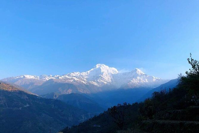 Short Annapurna Base Camp Trek -8 Days - Wrapping Up and Returning to Pokhara