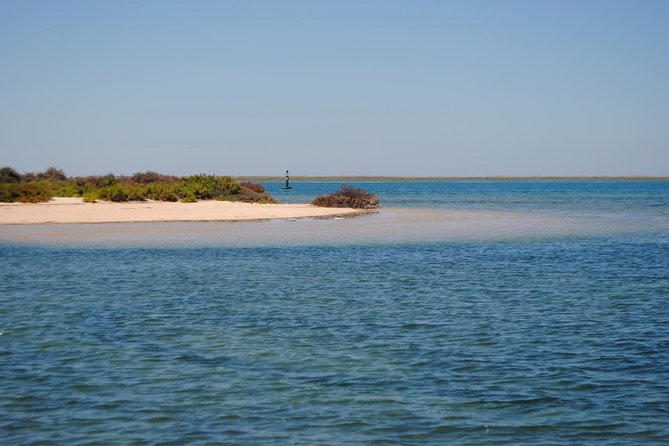 Short Boat Trip of the Algarves Ria Formosa Lagoon From Faro: 1 Hour - Recommendation From Visitors