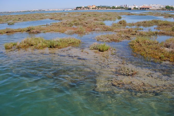 Short Boat Trip of the Algarves Ria Formosa Lagoon From Faro: 1 Hour - Interaction With Guest Reviews
