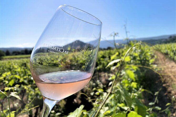 Short Day Tour Around Aix En Provence and Wine Tasting - Côtes De Provence Wineries