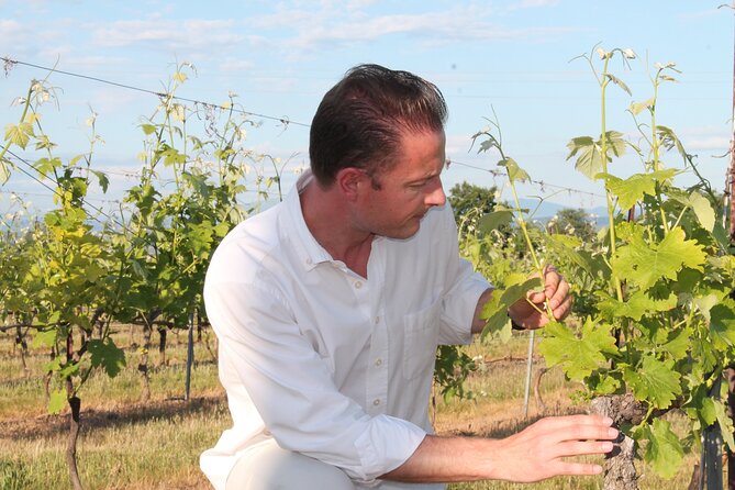 Short Day Tour Around Aix En Provence and Wine Tasting - Transportation and Meeting Point