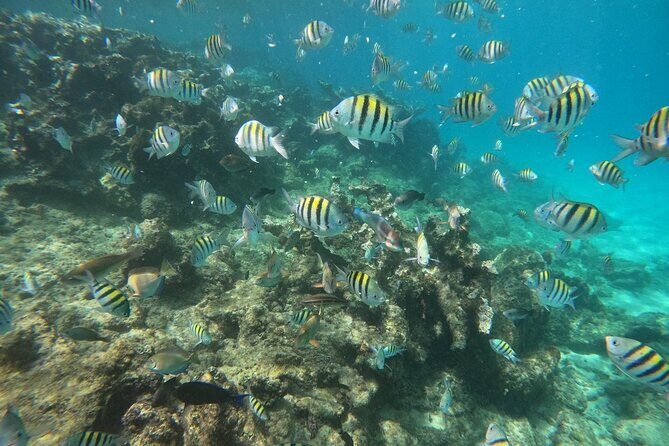 Short Excursion 4-Hour Party Catamaran and Snorkeling - Is This Tour Worth It? Analyzing the Value