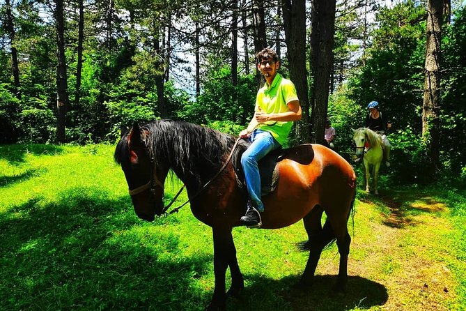 Short Horseback riding - Kolasin - Practical Details