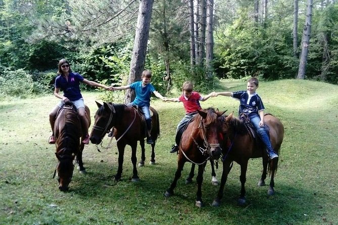 Short Horseback riding - Kolasin - Final Thoughts: Is This Tour for You?