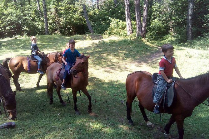 Short Horseback riding - Kolasin - FAQs