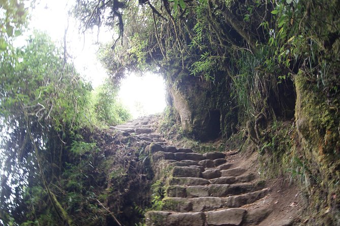 Short Inca Trail to Machupicchu || 2days - 1nigth || - Exploring Machu Picchu