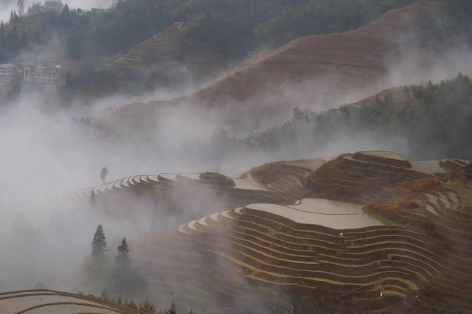 Short Li-River cruise and Longji Rice Terraces Private Day Tour - What Makes This Tour Stand Out