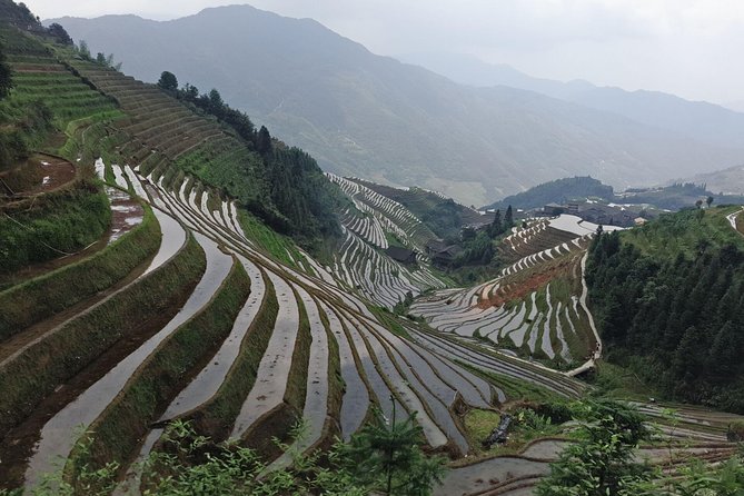 Short Li-River cruise and Longji Rice Terraces Private Day Tour - The Sum Up